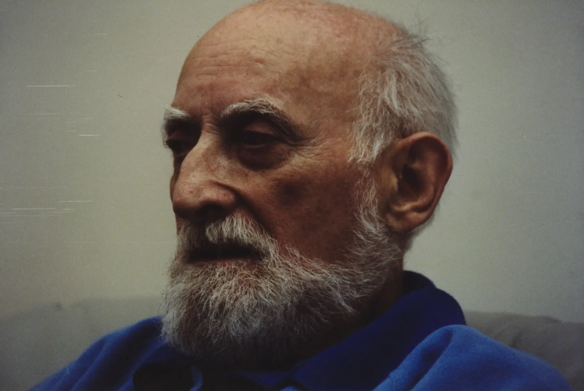 The Sullivanians cult blamed in Pollock's death in new book